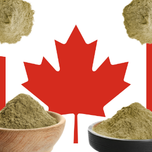 Shop Bulk Hemp Protein | Bulk Hemp Warehouse