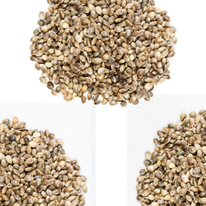 Hemp Grain Seeds | Bulk Hemp Warehouse