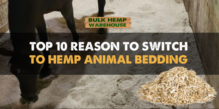 Ultimate Guide To Hemp Sprouts: Benefits, Uses & Instructions