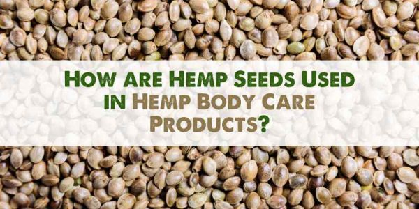 A Guide To Understanding Hemp Seeds, Hemp Oils & Hemp Fiber Ingredients ...