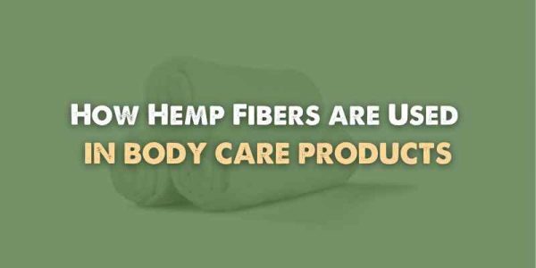 A Guide To Understanding Hemp Seeds, Hemp Oils & Hemp Fiber Ingredients ...