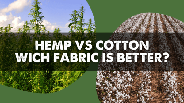 Hempcrete 101: A Powerful Guide To Sustainable Hemp Building