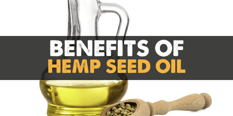 The Ultimate Guide To Hemp Seed Oil Benefits Uses & Common Questions